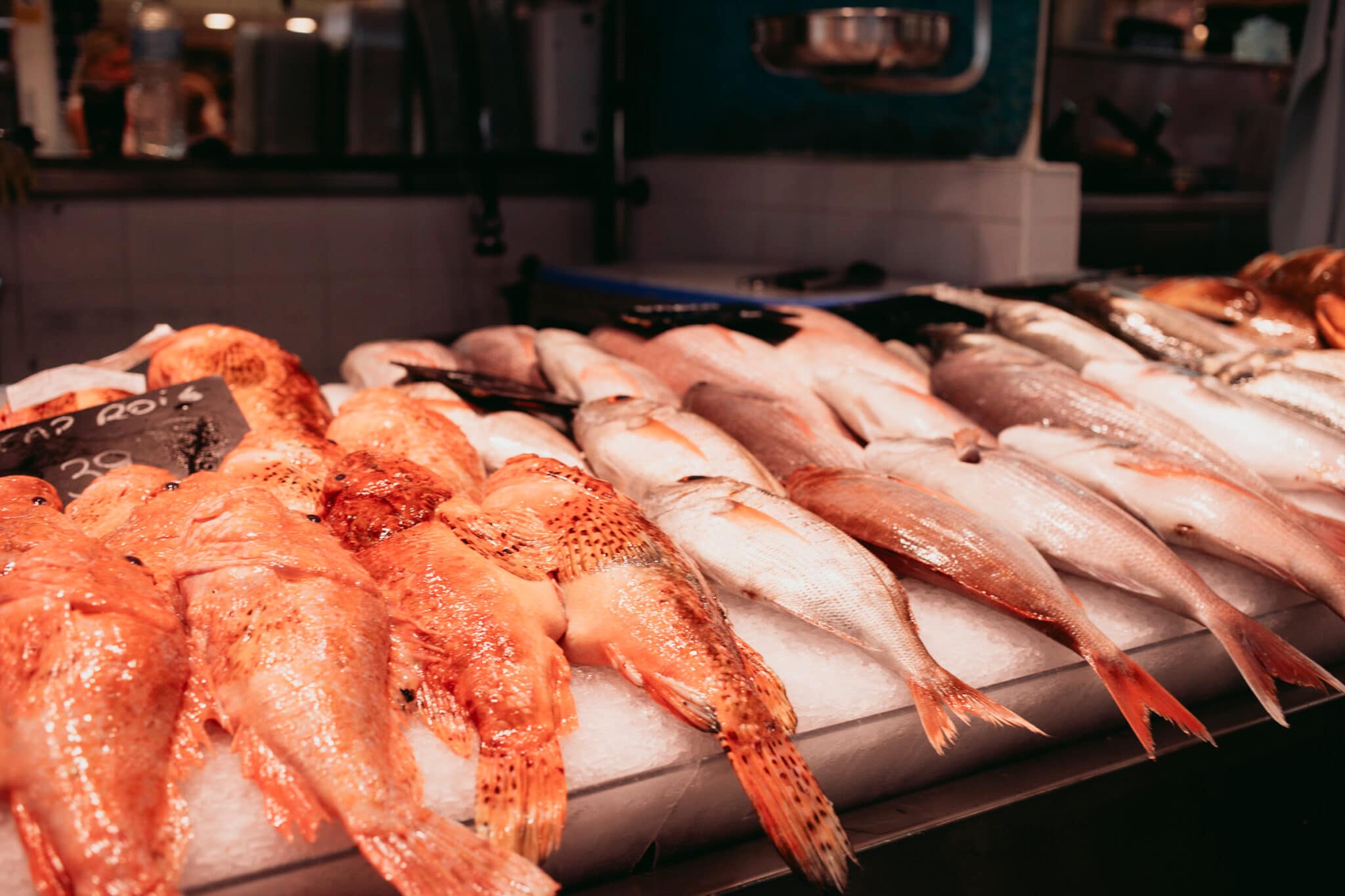 Majorcan specialties: The taste of Mallorca!