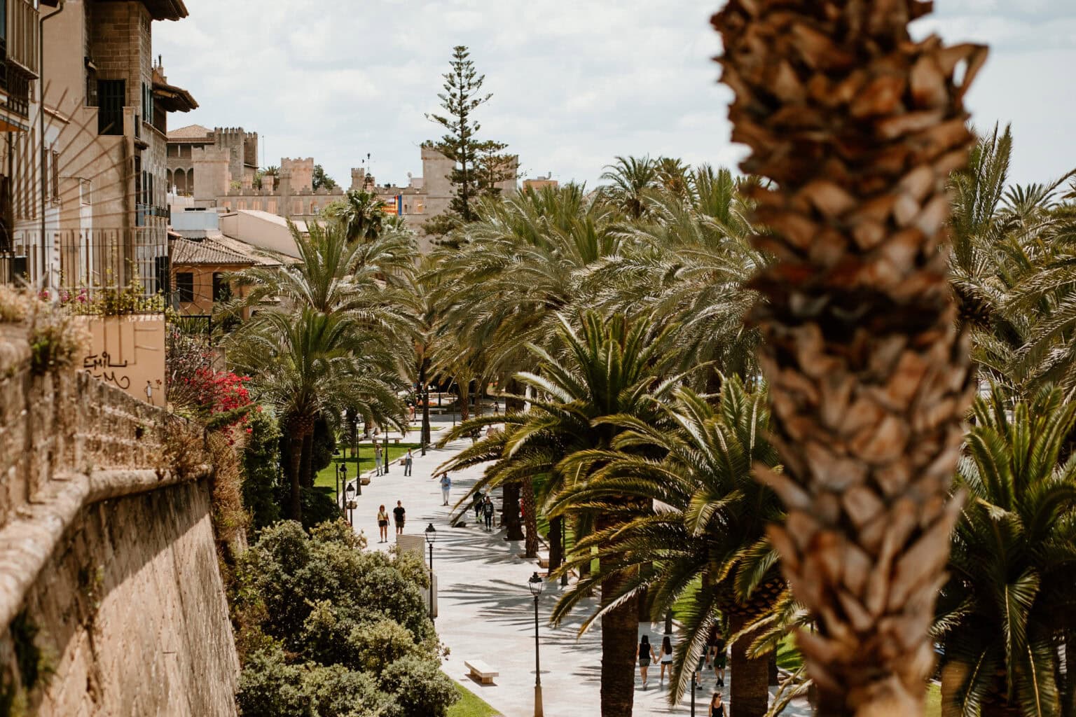 Top 15 Things to Do in Palma de Mallorca 2025